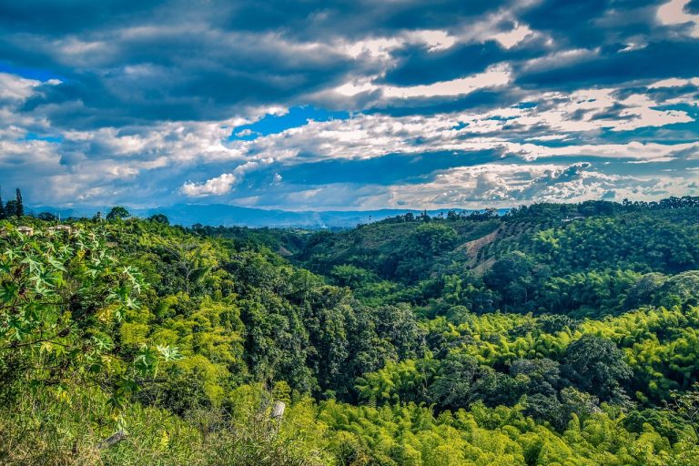 Estaciones del año en Colombia - Clima, temperaturas y tiempo