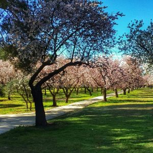 Estaciones del año en Madrid - Clima, temperaturas y tiempo