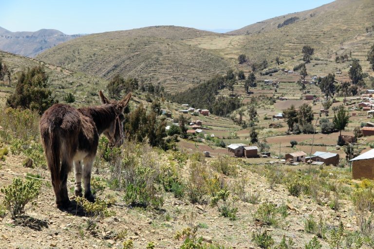 Estaciones del año en Bolivia - Clima, temperaturas y tiempo